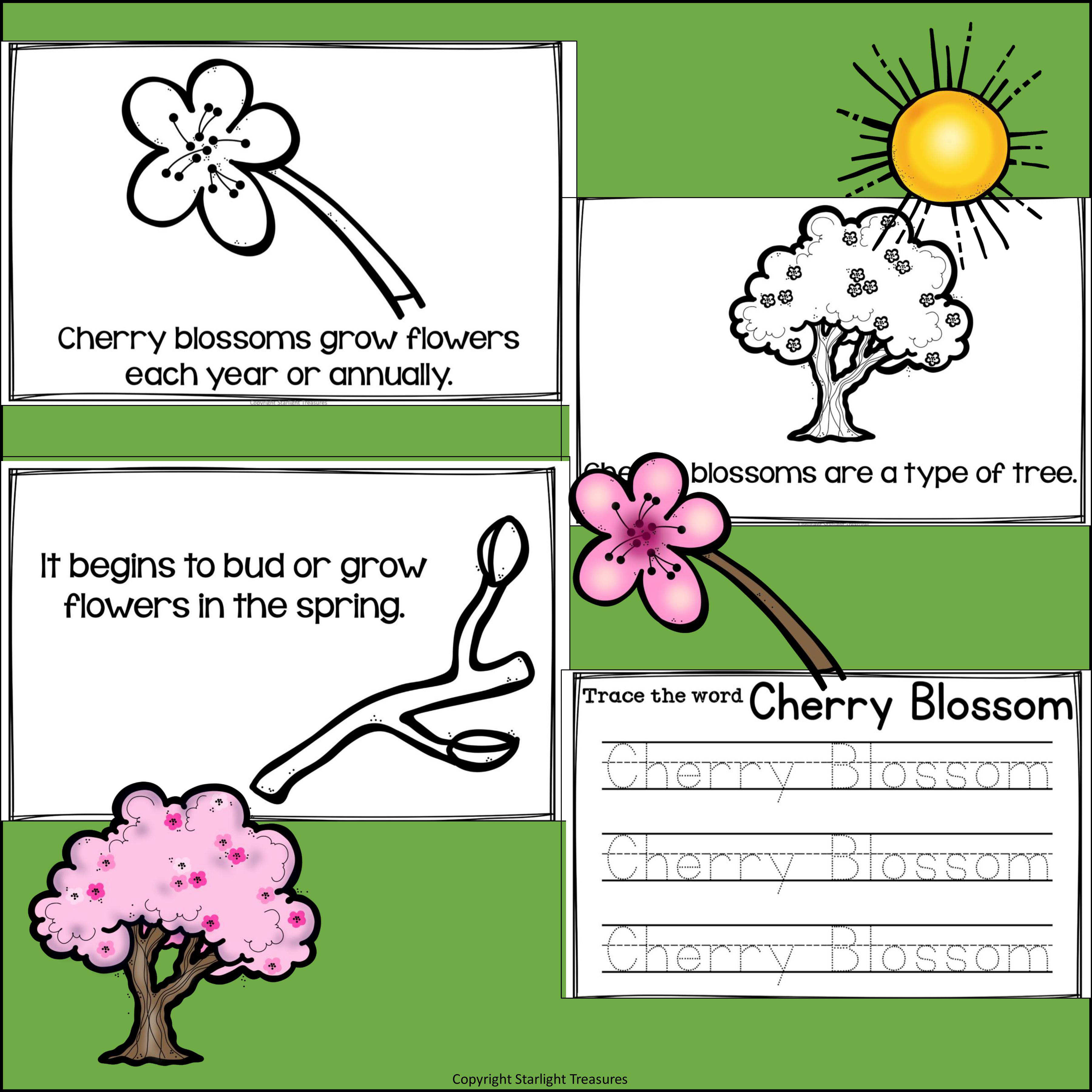 Cherry Blossom Mini Book for Early Readers - Classful