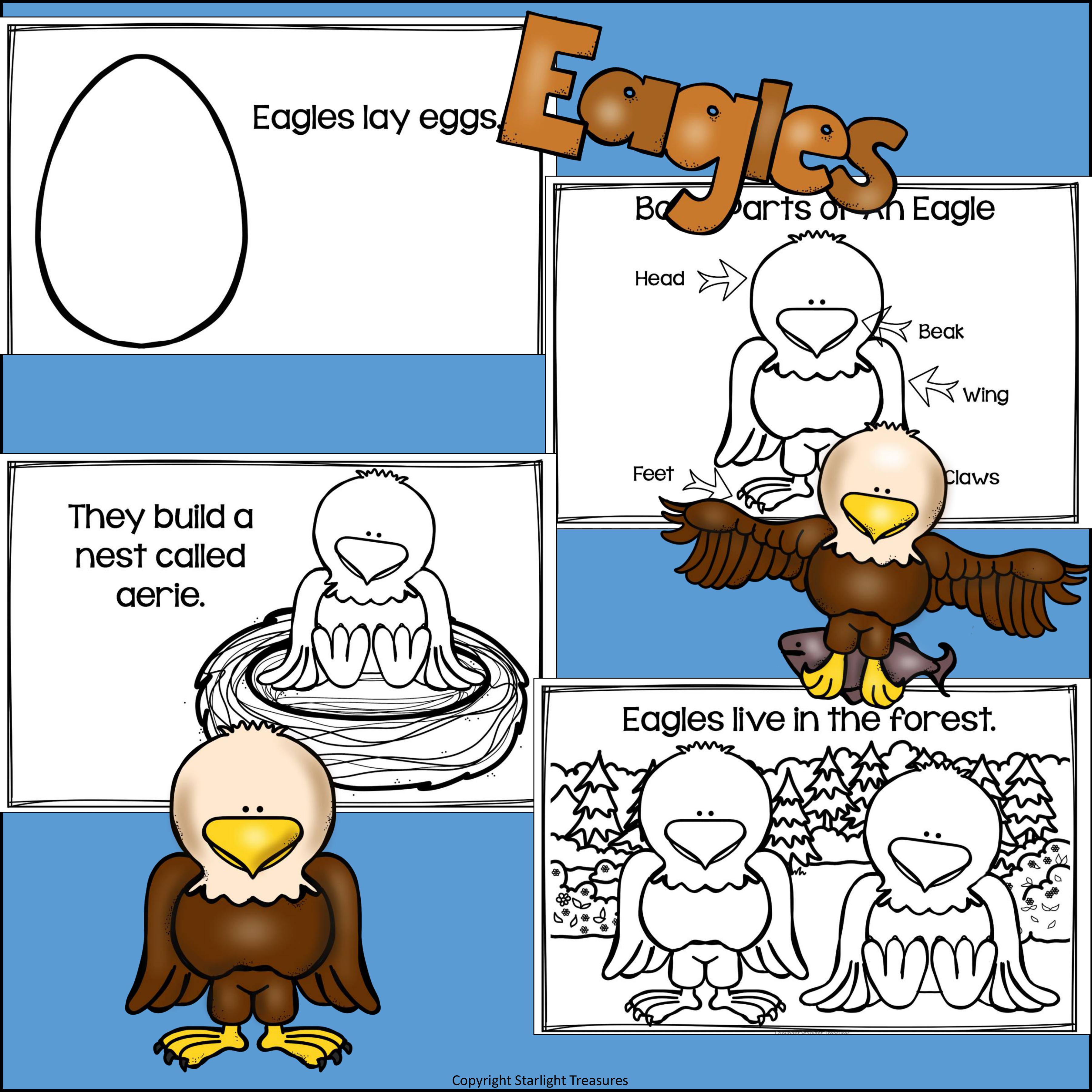 Eagles Mini Book for Early Readers - Bald Eagles - Animal Study - Classful