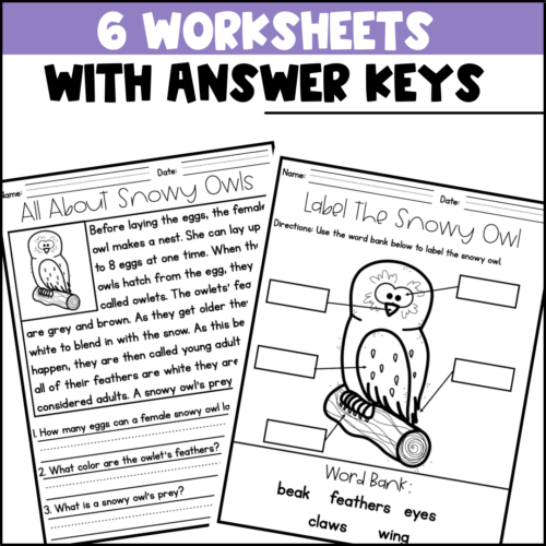 Life Cycle of a Snowy Owl Activities, Worksheets, Booklet - Snowy Owl ...