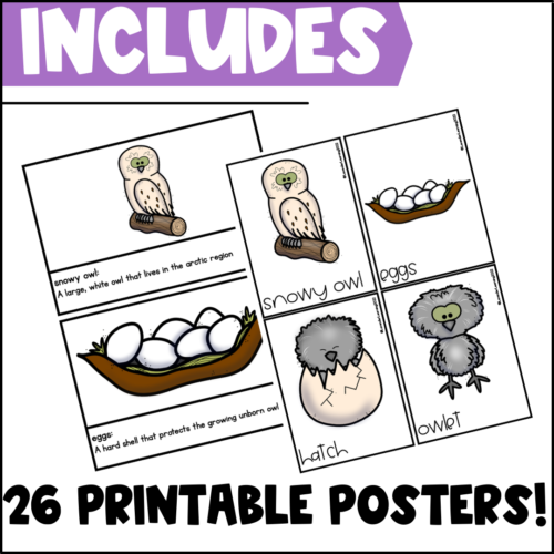 Life Cycle of a Snowy Owl Activities, Worksheets, Booklet - Snowy Owl ...