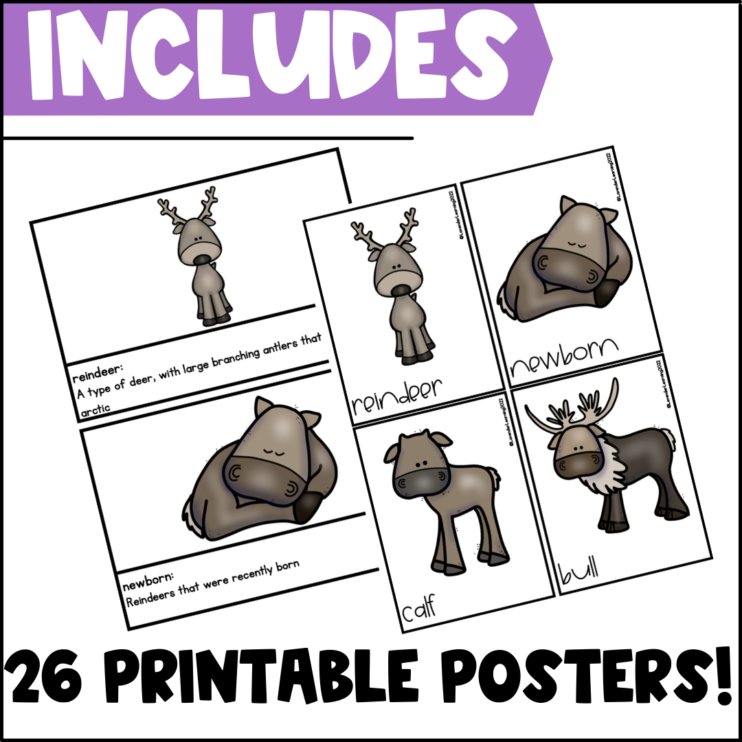 Life Cycle of a Reindeer Activities, Worksheets, Booklet - Reindeer ...