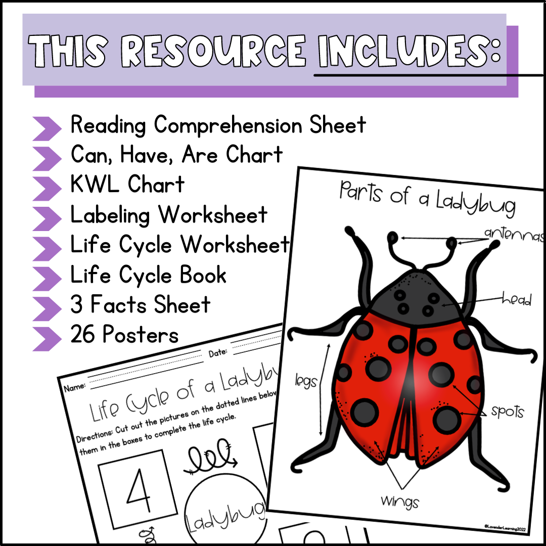 Life Cycle of a Ladybug Activities, Worksheets, Booklet - Ladybug Life ...