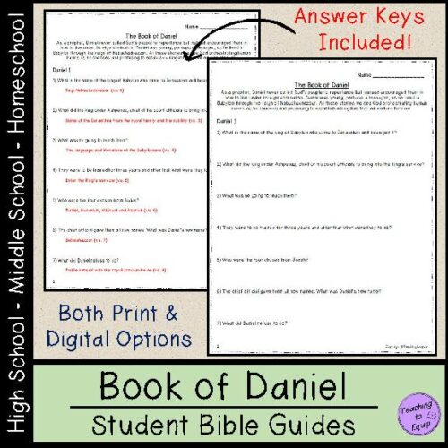 Book of Daniel Bible Study Question Worksheet Packet - Classful