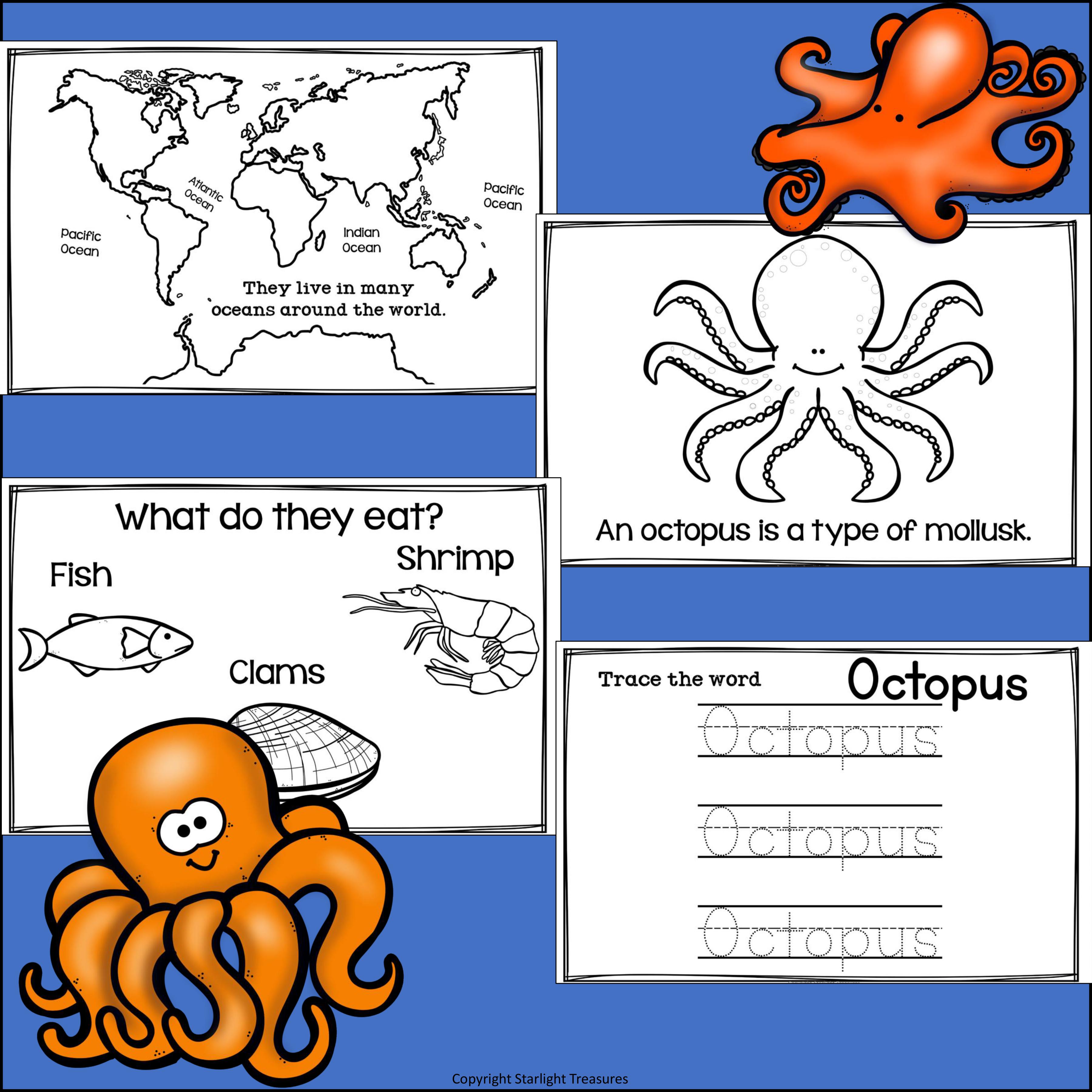 Octopus Mini Book for Early Readers - Animal Study - Classful