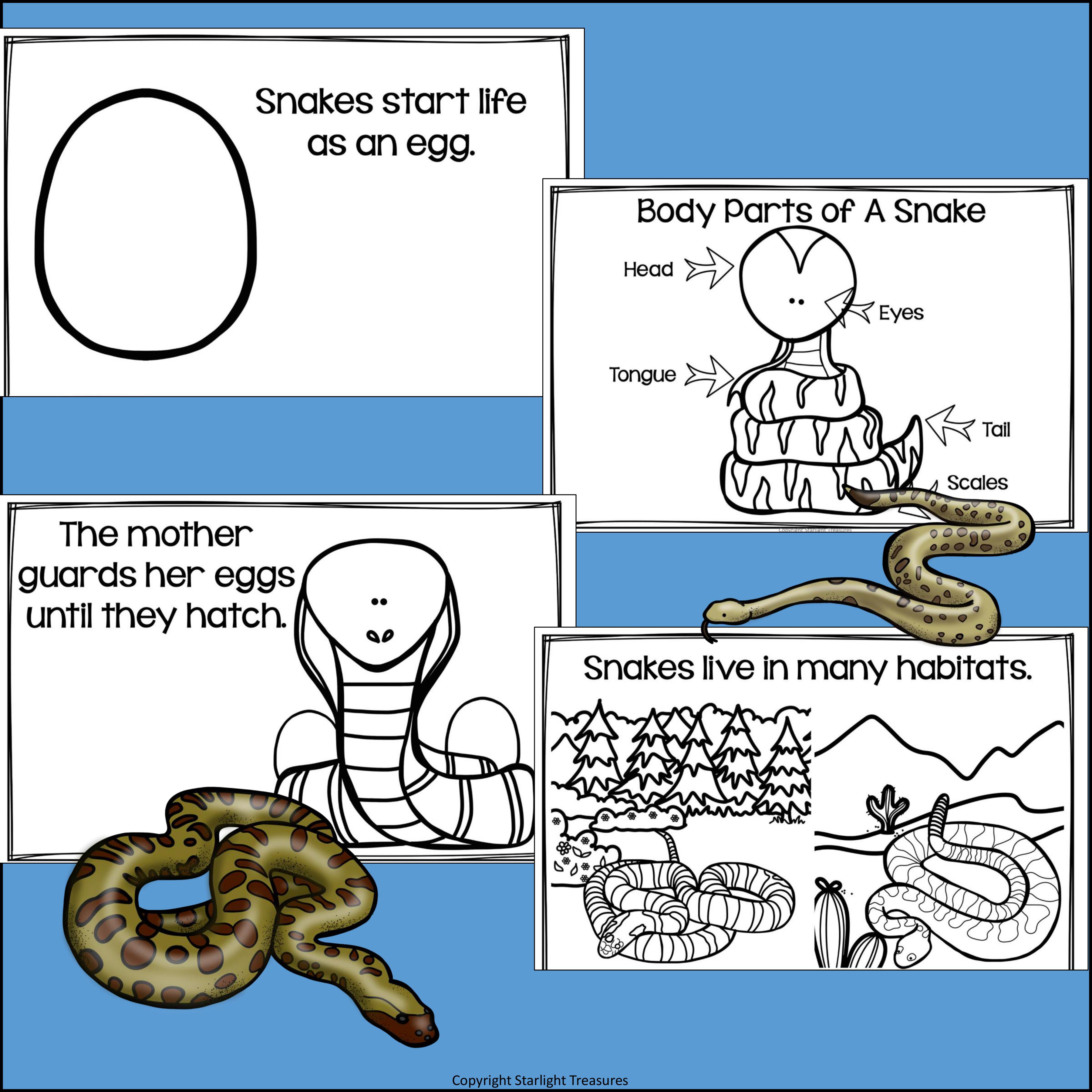 Snakes Mini Book for Early Readers - Animal Study - Classful