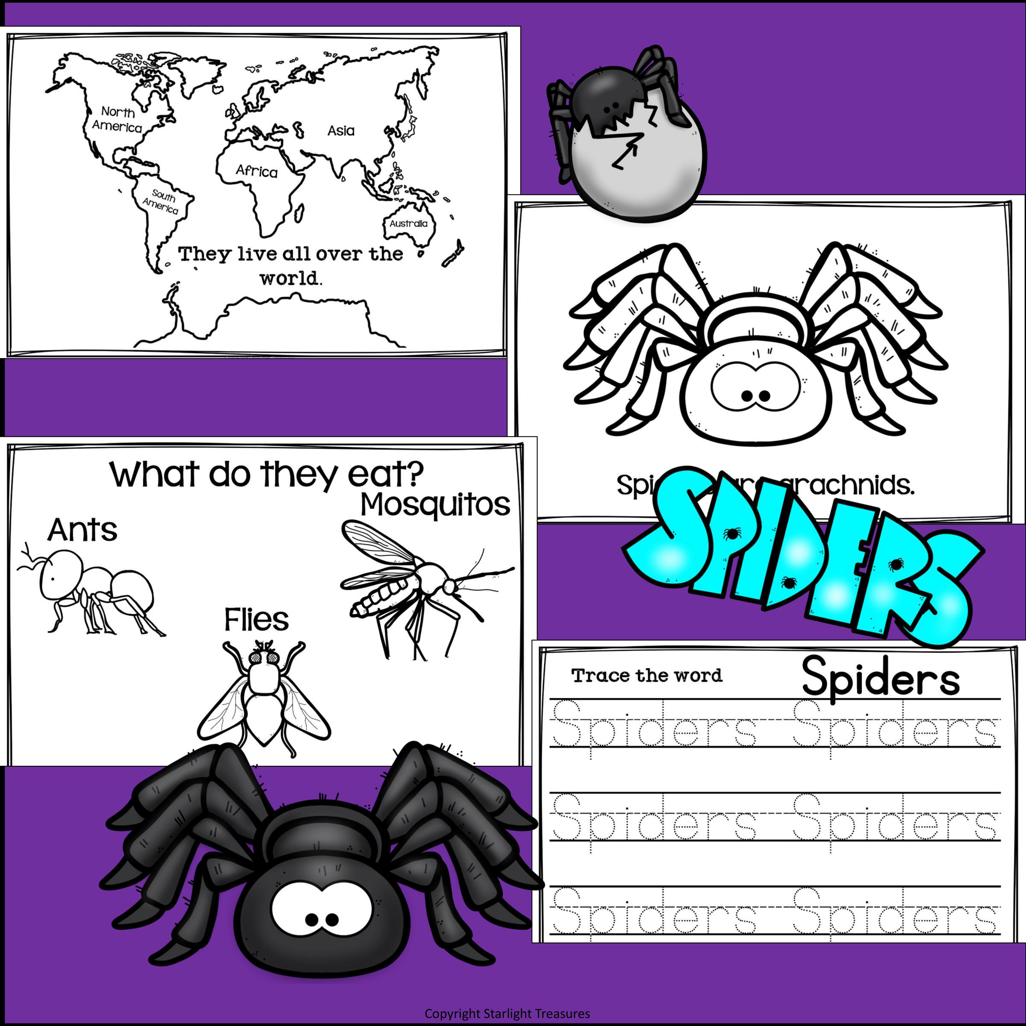 Spiders Mini Book for Early Readers - Animal Study - Classful