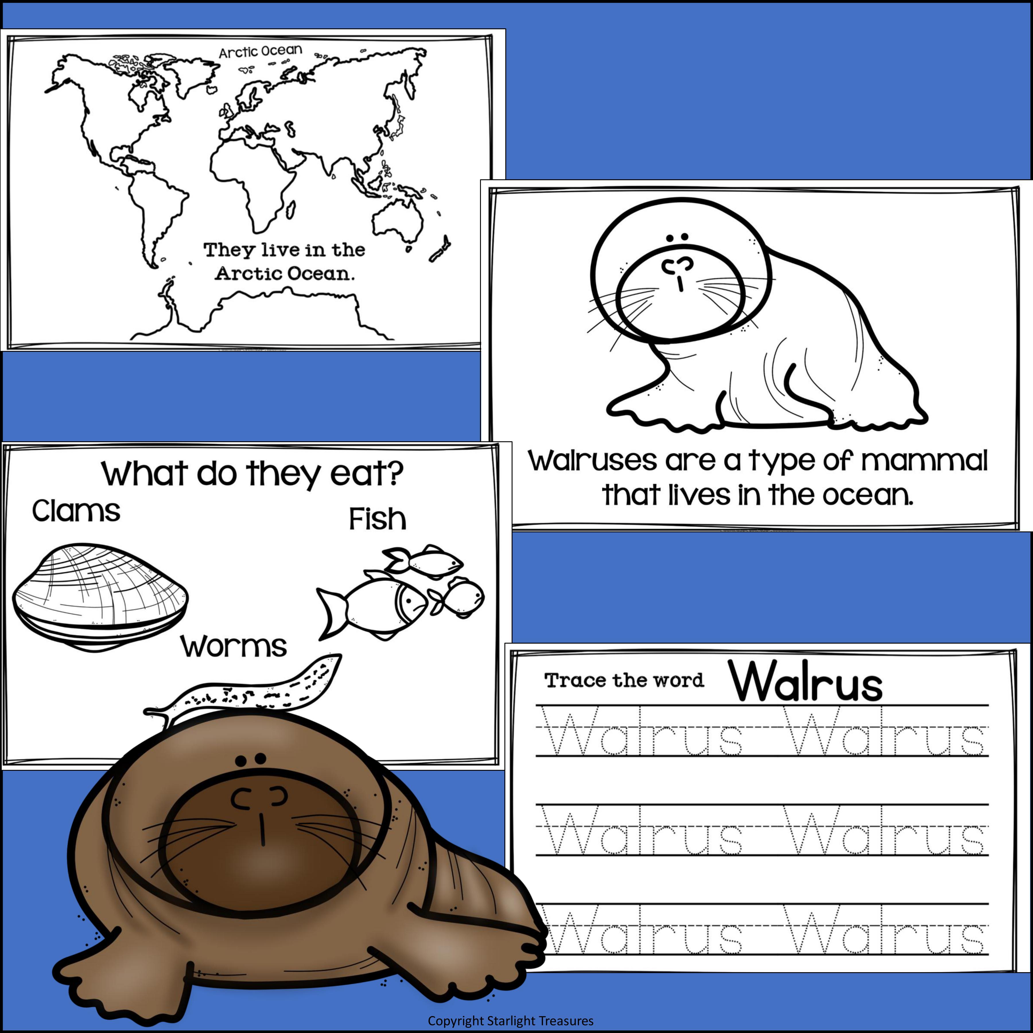 Walruses Mini Book for Early Readers - Walrus - Animal Study - Classful