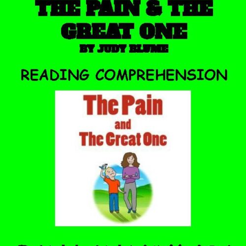 THE PAIN & THE GREAT ONE by Judy Blume READING COMPREHENSION ACTIVITIES ...