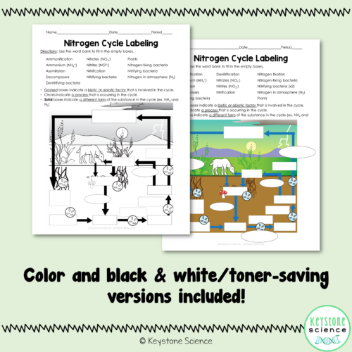 Nitrogen Cycle Diagram Worksheet