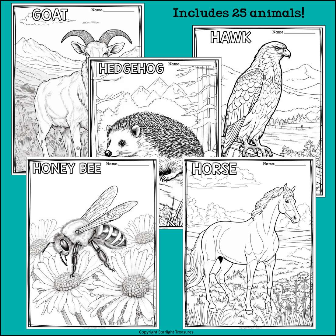 Prairie Animals Research Posters, Coloring Pages - Animal Research ...