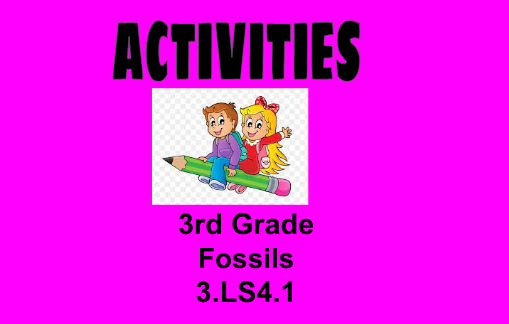 3rd Grade Fossils 3.LS4.1 Activities - Classful