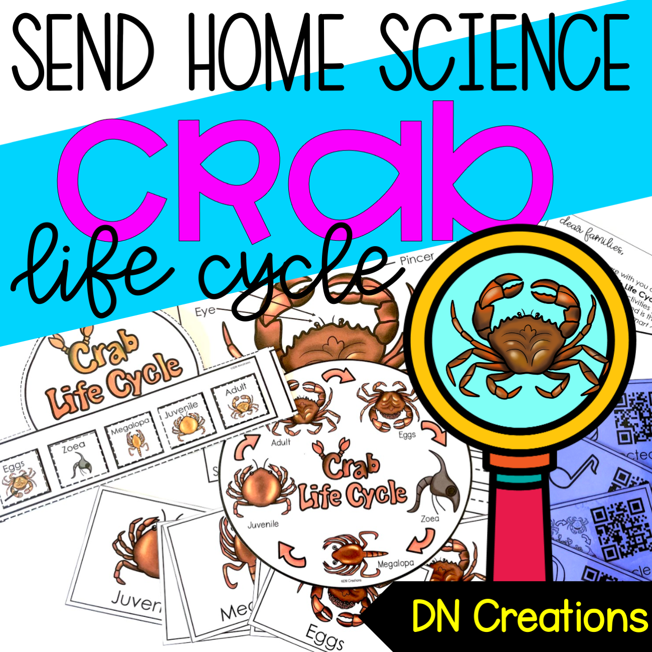 INVERTEBRATES send home SCIENCE bundle l Invertebrates Lifecycles ...