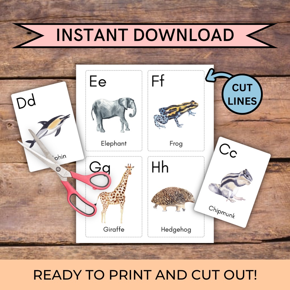 Animal Alphabet Flash Cards, ABC Learning Cards for Preschool, Phonics ...