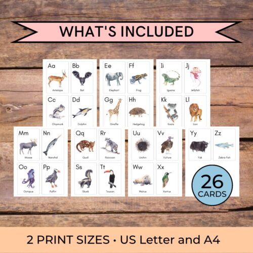 Animal Alphabet Flash Cards, ABC Learning Cards for Preschool, Phonics ...