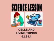 6th Science Lesson Cells and Living Things OAS 6.LS1.1 NGSS MS-LS1-1 ...