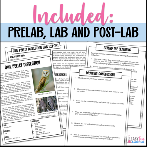 Owl Pellet Dissection - Free - Classful