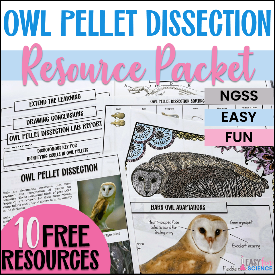 Owl Pellet Dissection - Free - Classful