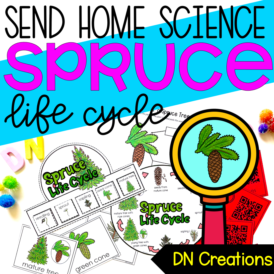Send HOME Science Spruce Tree Life Cycle l Christmas Tree Lifecycle