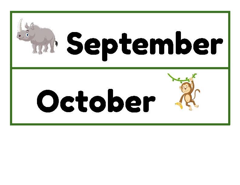 Jungle Themed Calendar Months - Classful