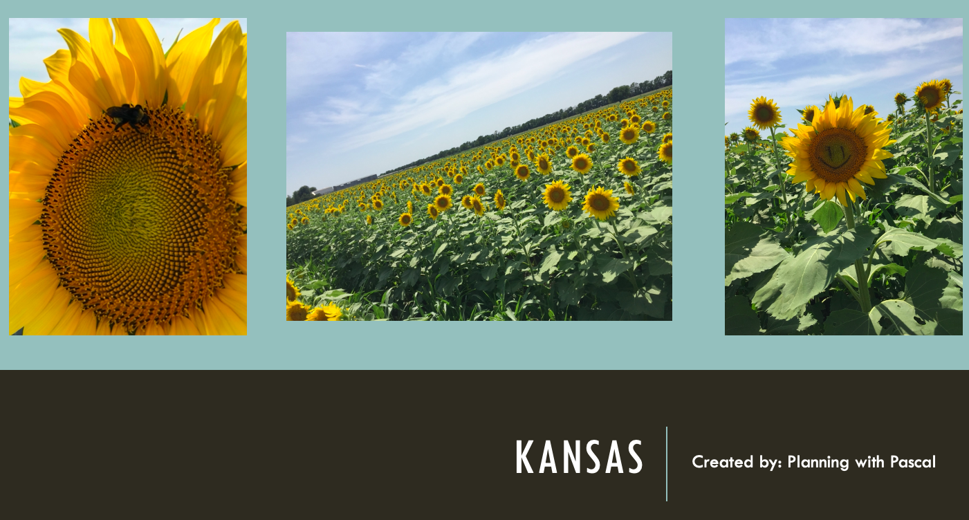 Long or Short Vowels and Long Single Vowels Phonics Slides | PowerPoint ...