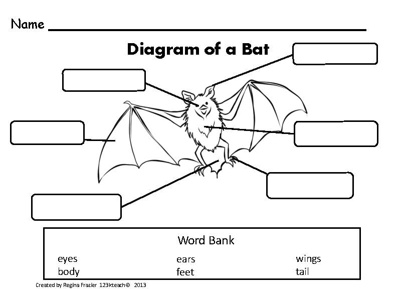 Animal Diagrams - Classful