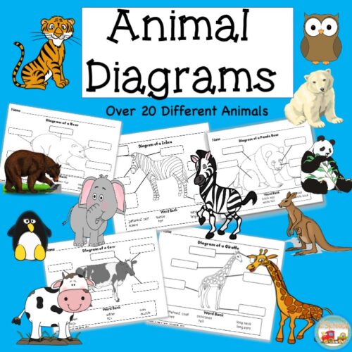 Animal Diagrams - Classful