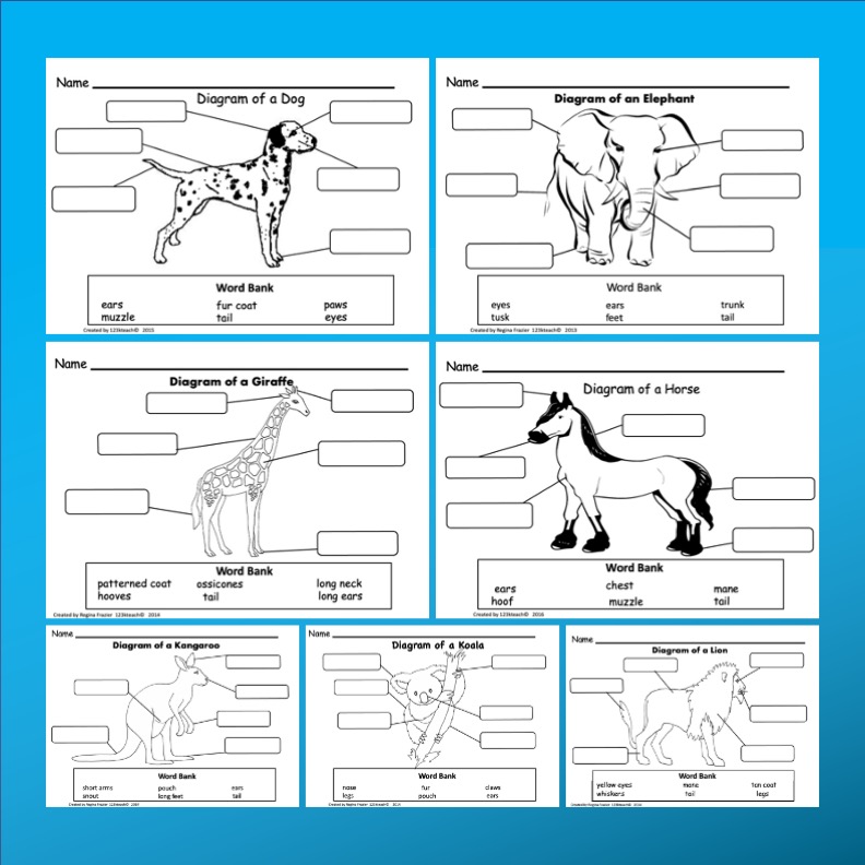 Animal Diagrams - Classful