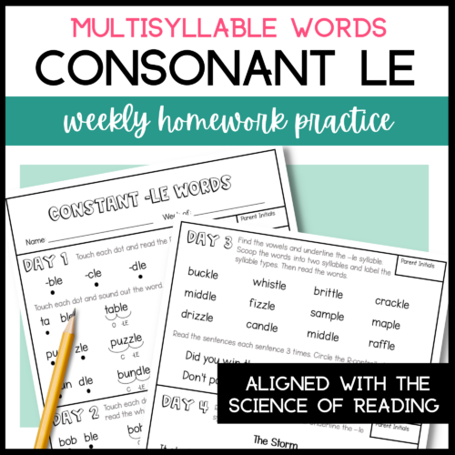Decoding Consonant LE Syllables Stable Final Syllable | Phonics ...