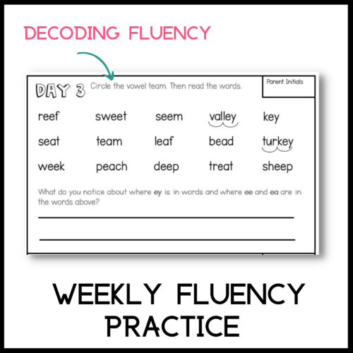Decoding Vowel Teams (ai, ay, ee, ei, ey, igh, ie, ou, ow, ui, ue ...