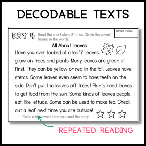 Decoding Vowel Teams (ai, ay, ee, ei, ey, igh, ie, ou, ow, ui, ue ...