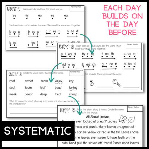 Decoding Vowel Teams (ai, ay, ee, ei, ey, igh, ie, ou, ow, ui, ue ...