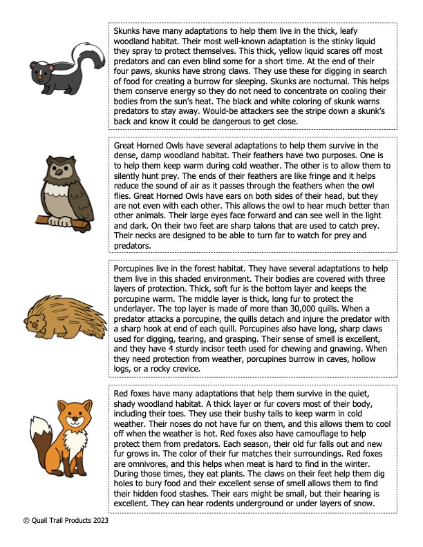 Animal Adaptations in the Woodland Habitat Activities and Worksheets ...