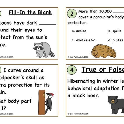 Animal Adaptations in the Woodland Habitat Activities and Worksheets ...