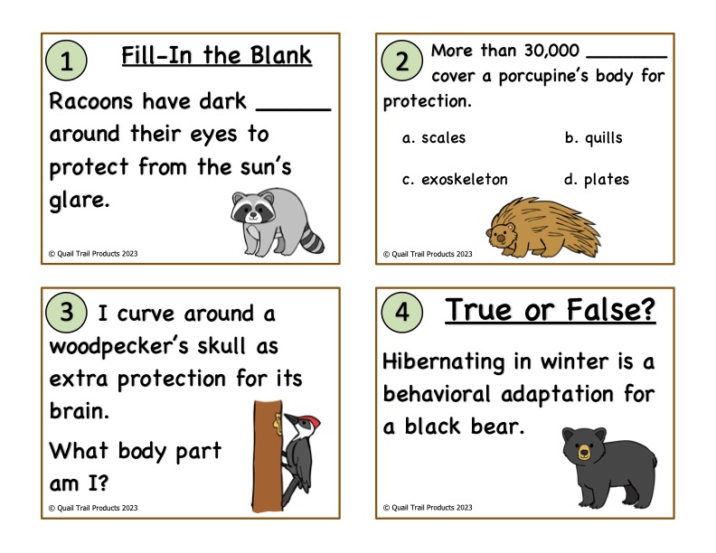 Animal Adaptations in the Woodland Habitat Activities and Worksheets ...