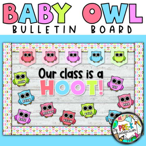 Baby Owl Bulletin Board | Our Class is a Hoot! | Look HOO is in our ...