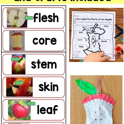 Apple Science Experiments & STEM, Apples Science Activities Fall ...