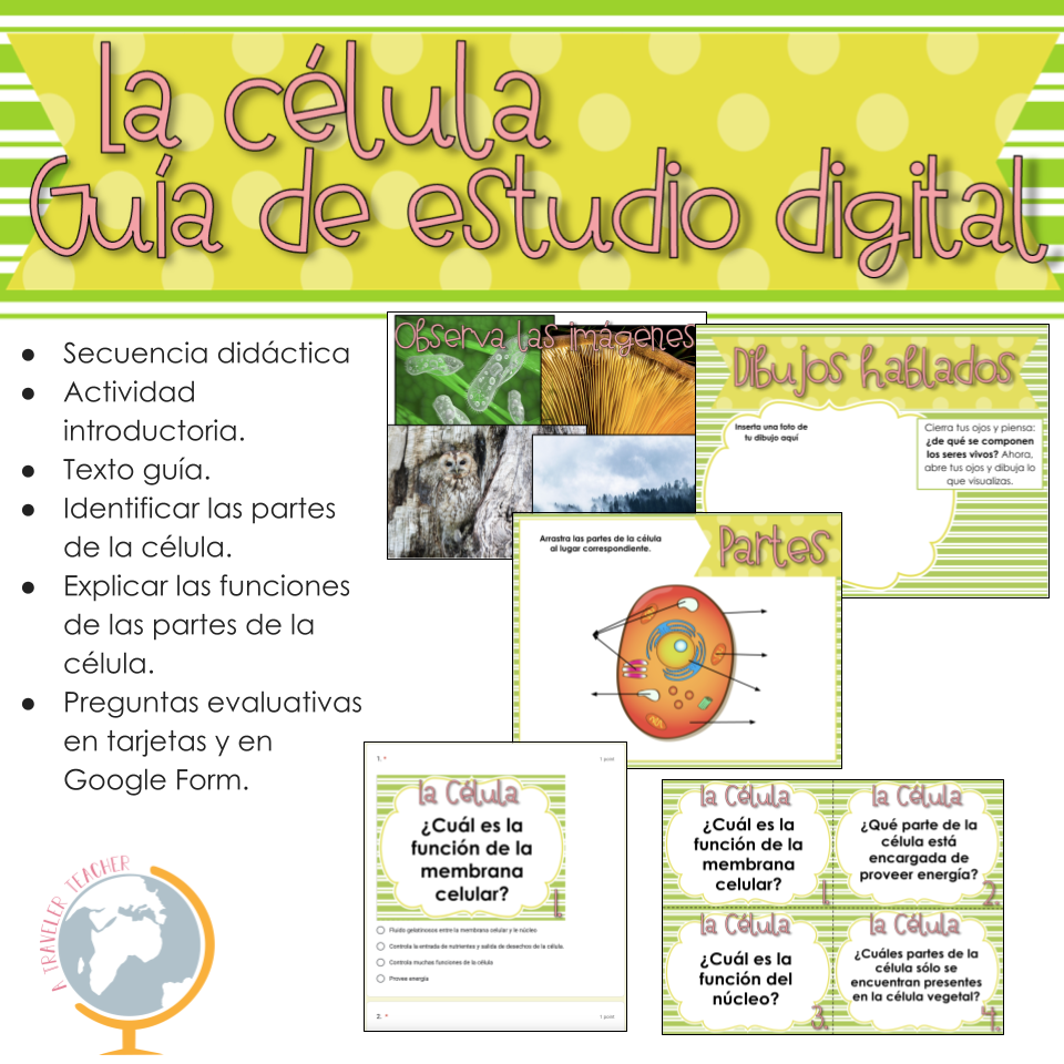La célula guía de estudio digital - Classful