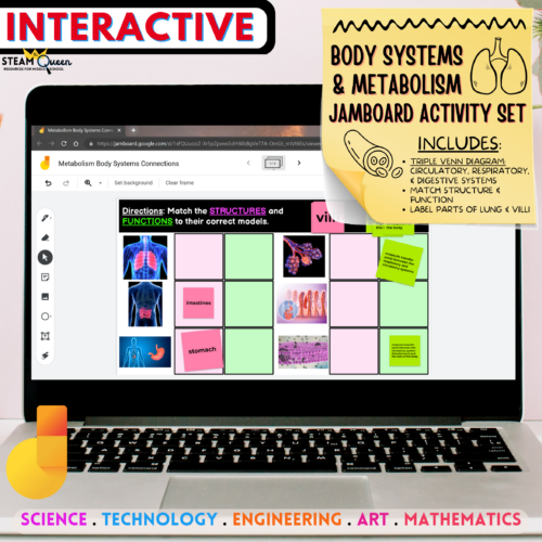 Metabolism and Body Systems Jamboard Set- Engaging Activities for ...