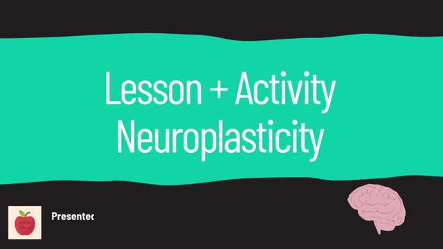 Neuroplasticity- Psychology Lesson and Activity - Classful