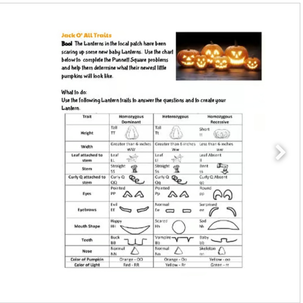 Jack O' All Traits HALLOWEEN PUNNETT SQUARES - Classful