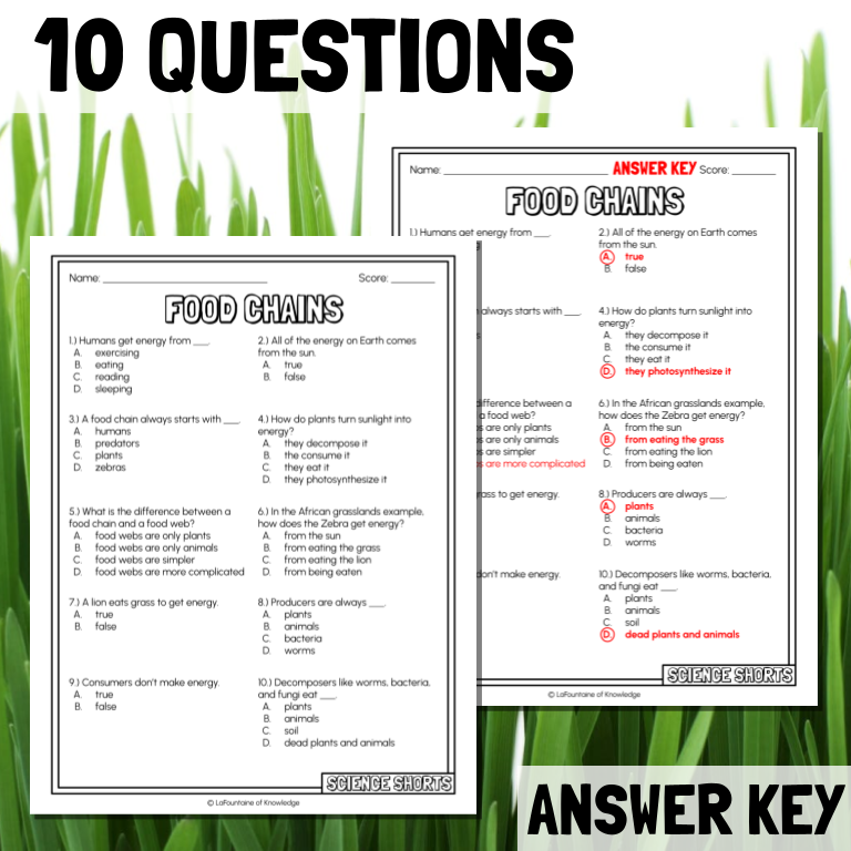 Food Chains Reading Comprehension Passage PRINT and DIGITAL - Classful