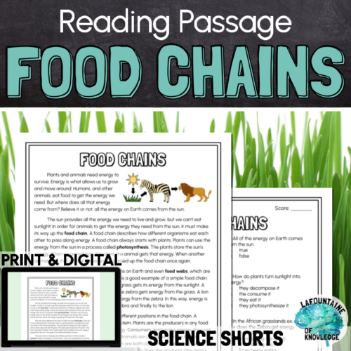 Food Chains Reading Comprehension Passage PRINT and DIGITAL - Classful